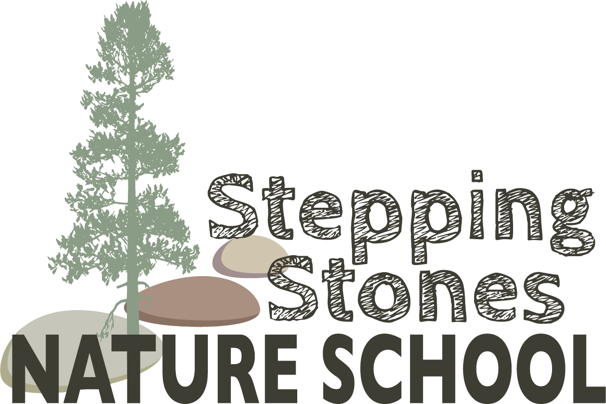 Stepping Stones Logo