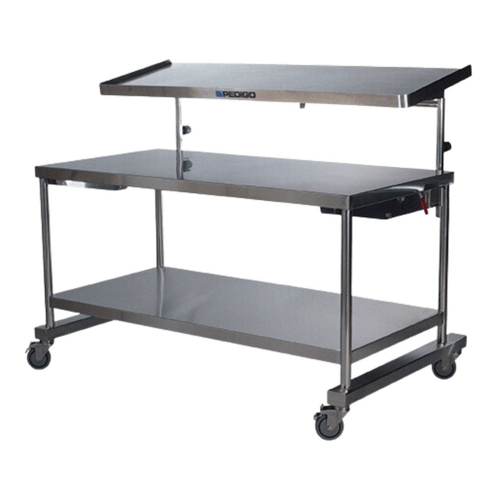 Pedigo — Alliance Medical Corporation