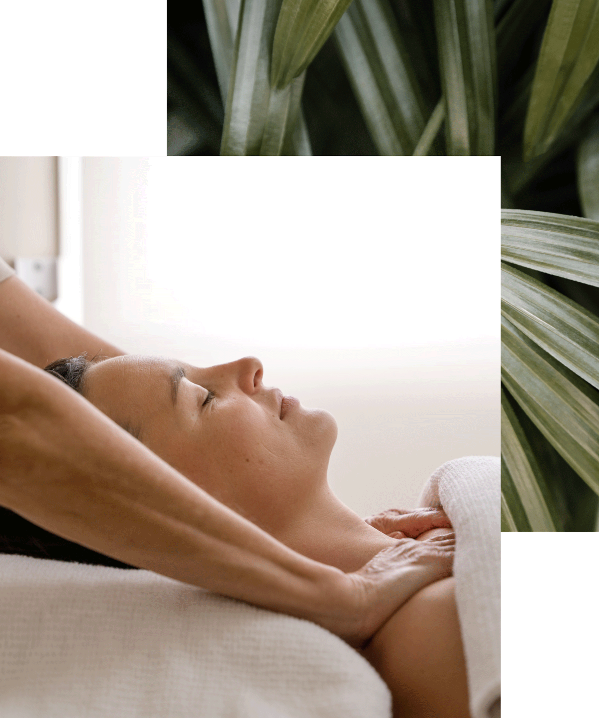 Fertility & Maternity Reflexology — Tracey Holland Reflexology