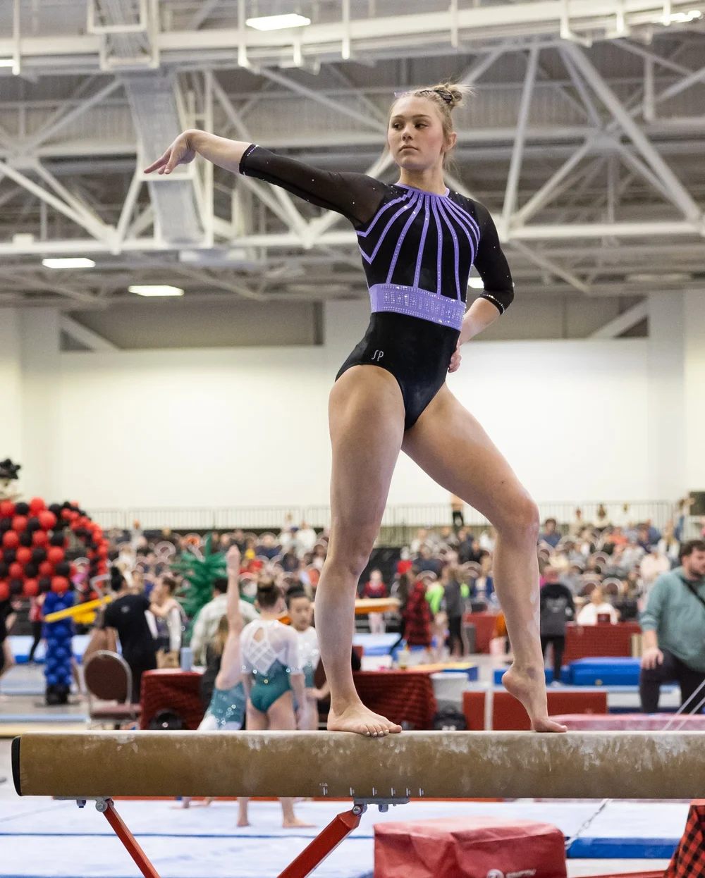 Classes — Roseville Gymnastics