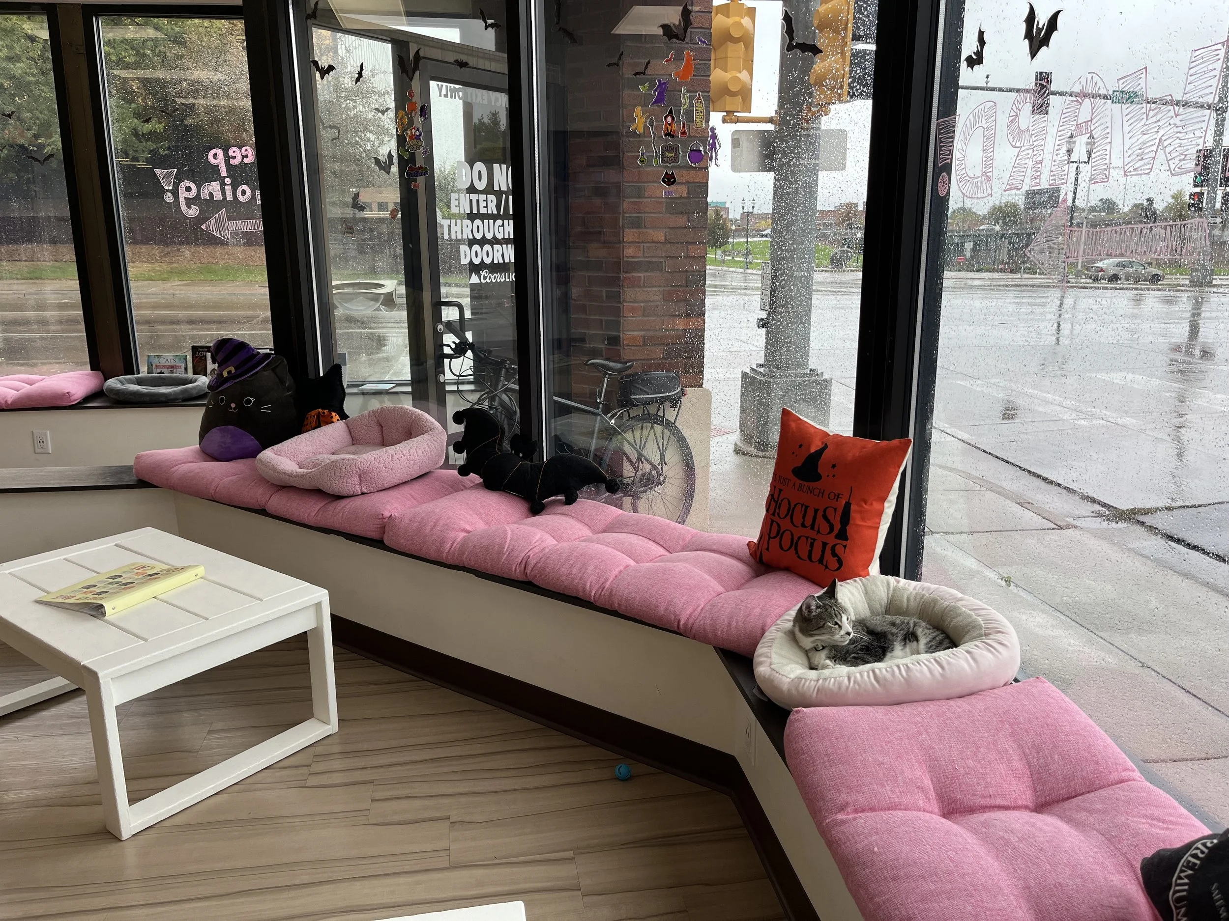 Cattitude Cafe Sioux Falls