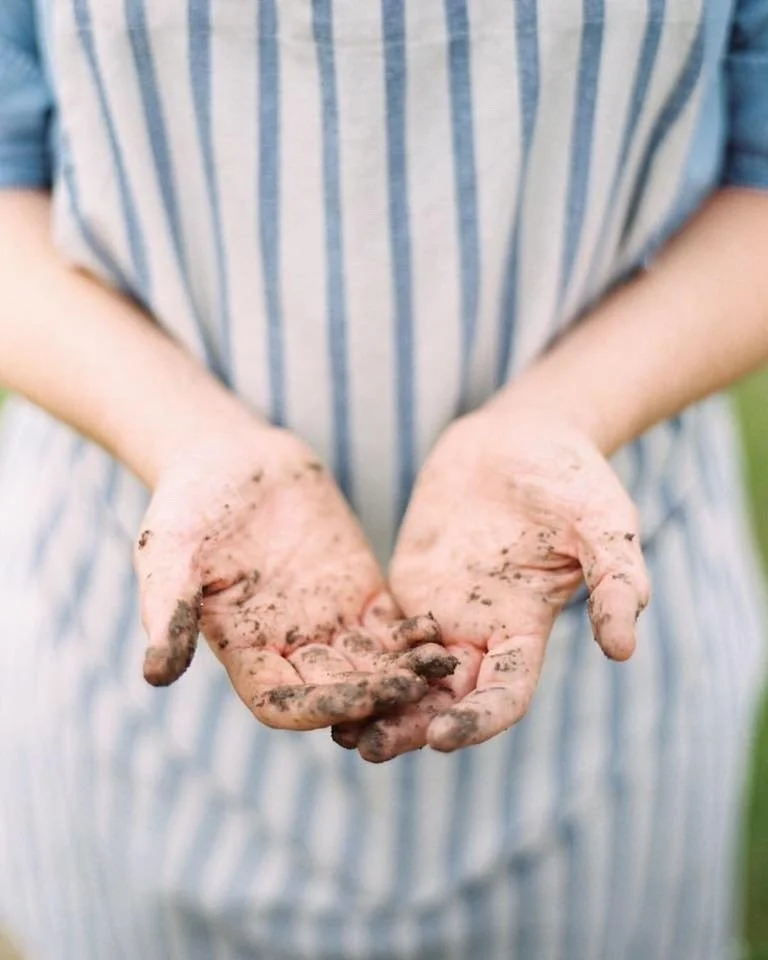 Volunteer — Simple Sparrow Care Farm