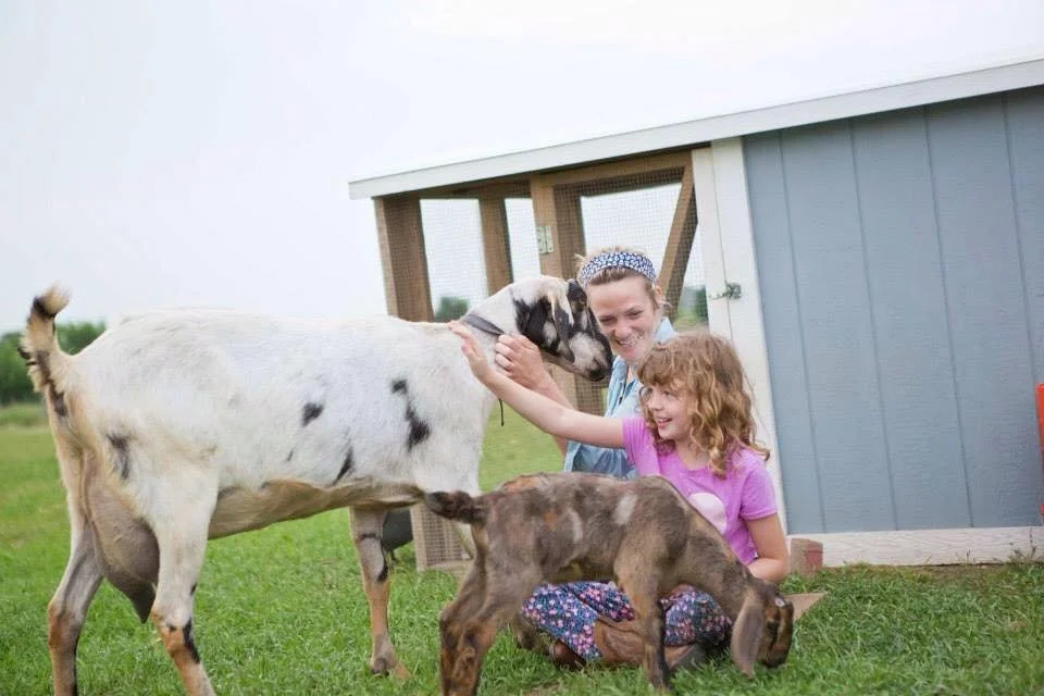 Programs and Events — Simple Sparrow Care Farm