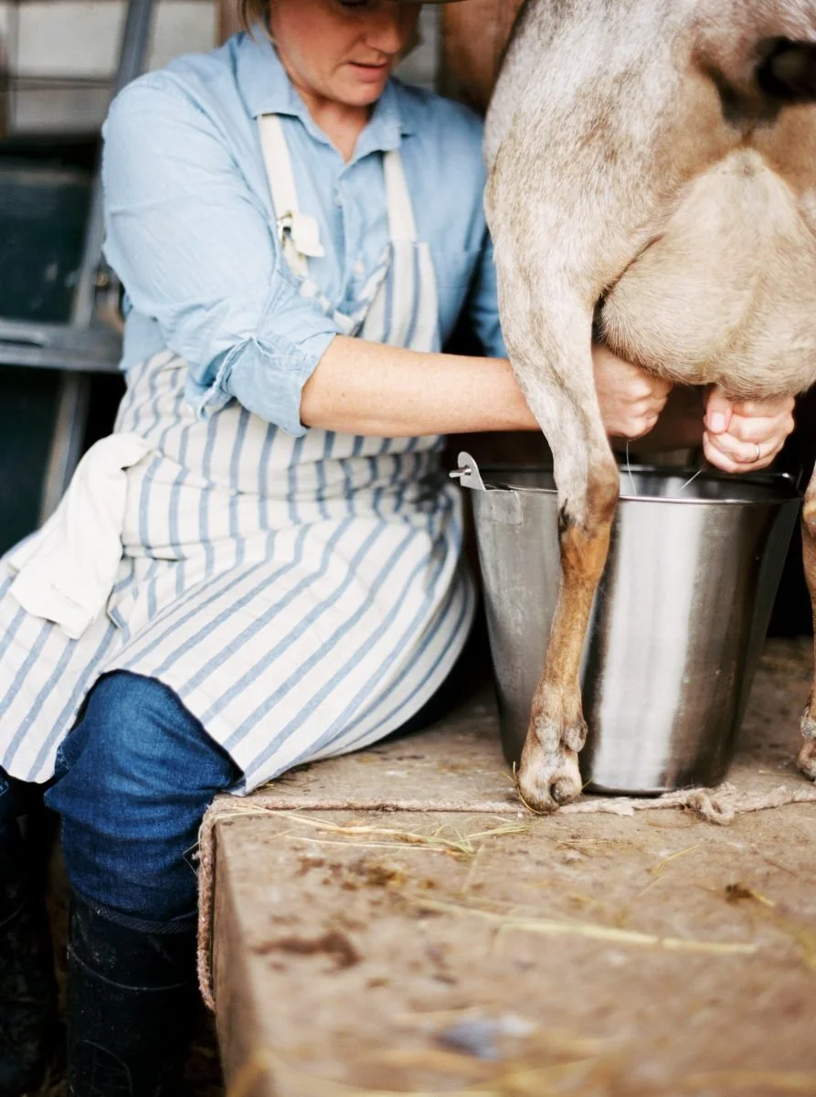 Programs and Events — Simple Sparrow Care Farm