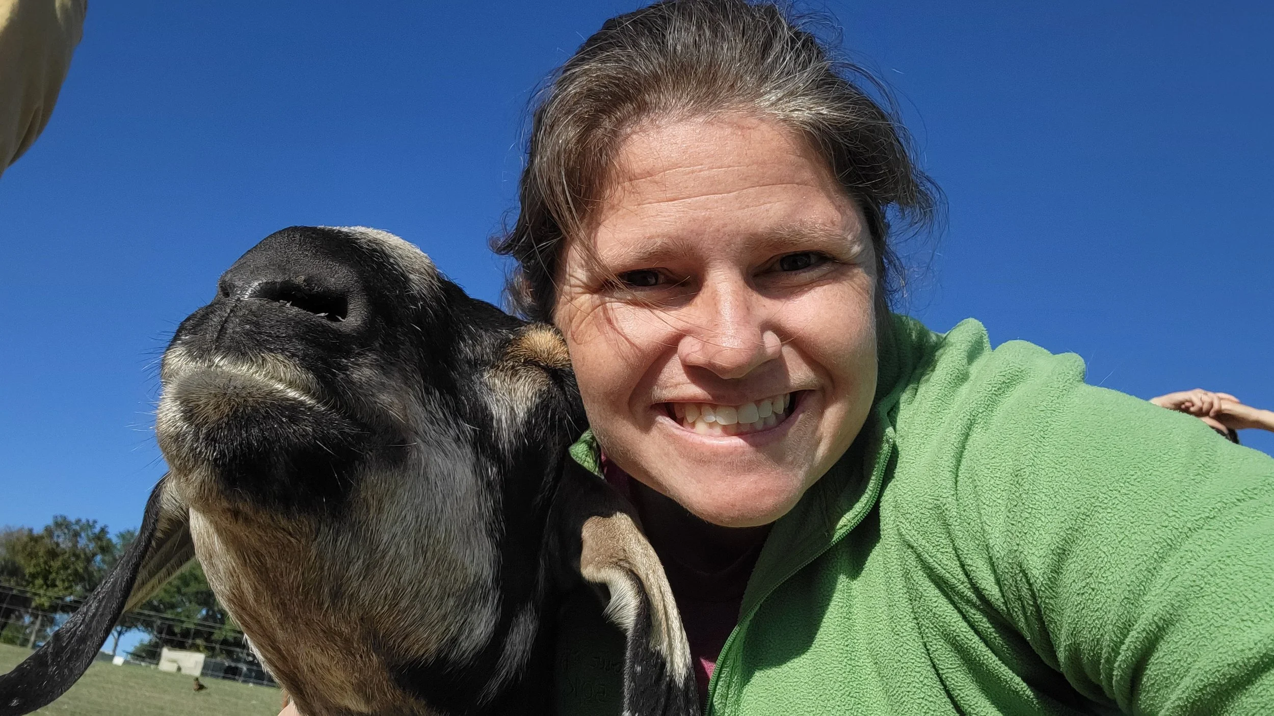 Partnering Therapists — Simple Sparrow Care Farm