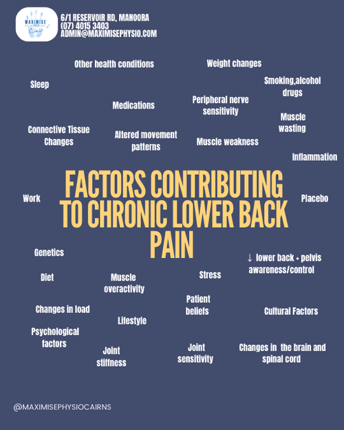 Lifting with a Bent Spine Is NOT Bad For You — Maximise Physiotherapy ...