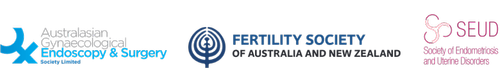 Dr I-Ferne Tan - Sydney Fertility Specialist & Reproductive Surgeon