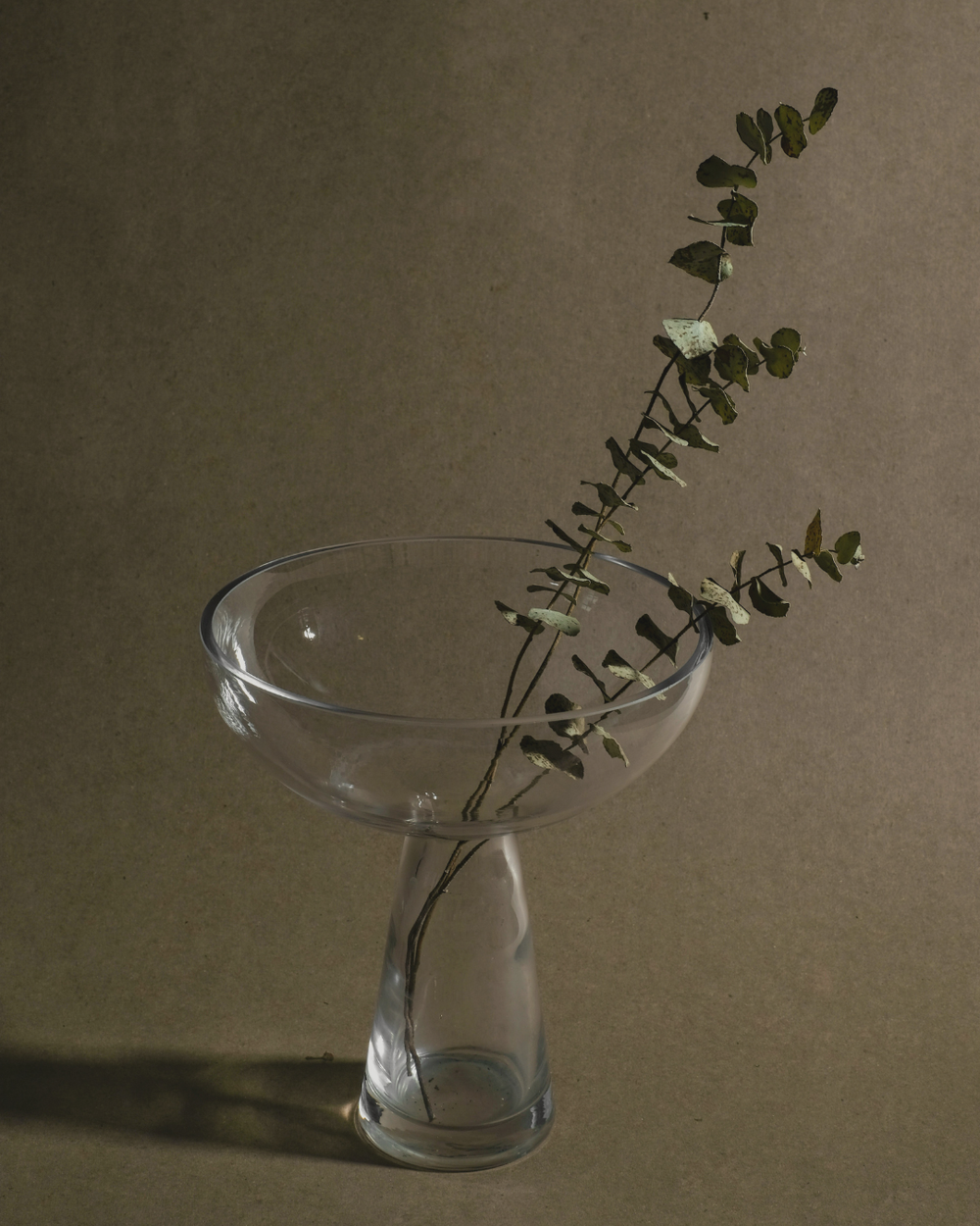 ERAH SOCIETY | A modern space for Seekers & Founders