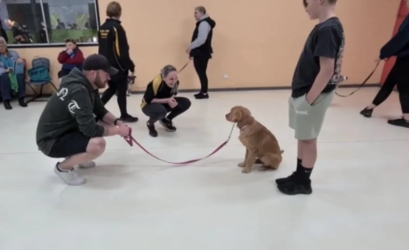 Puppy Training- Alpha Dog Training