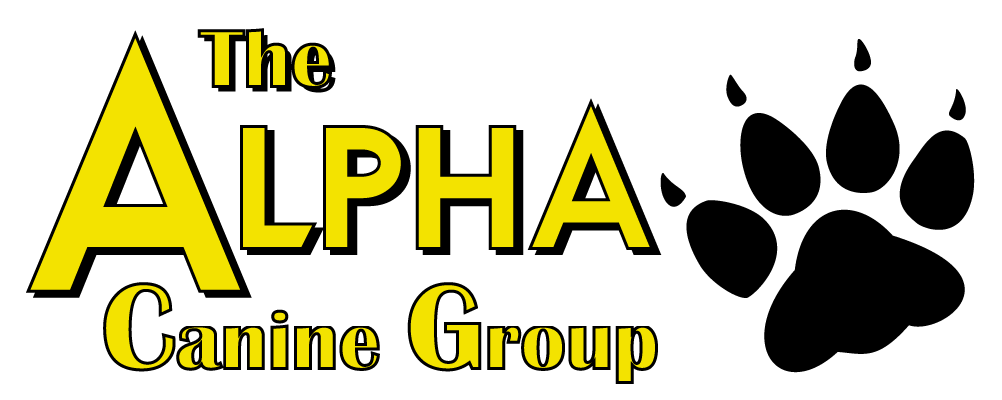 Alpha Dog Training I Located in Melbourne!