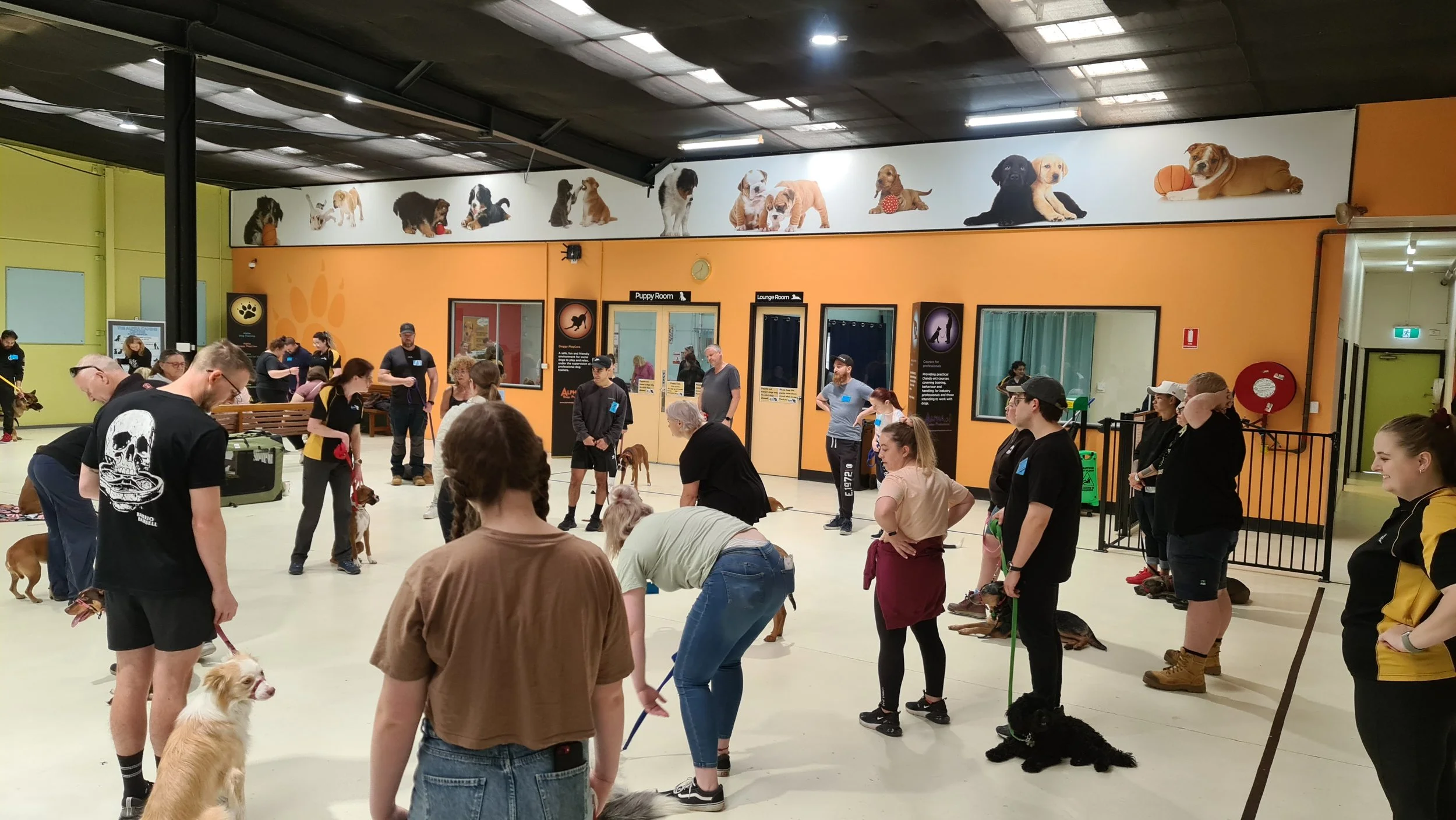 Weekly Obedience Classes- Alpha Dog Training