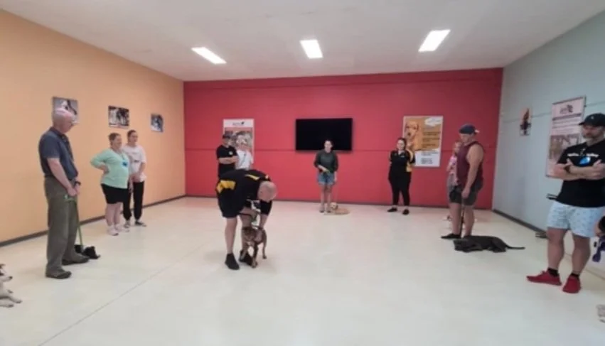 Puppy Training- Alpha Dog Training