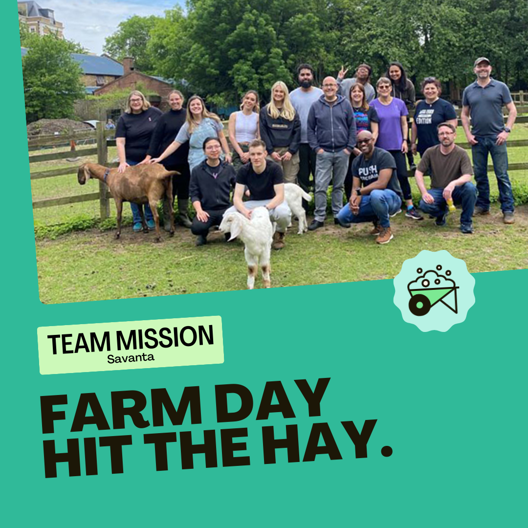 Corporate Volunteering Days | Charity Team Days | Team Building Days ...