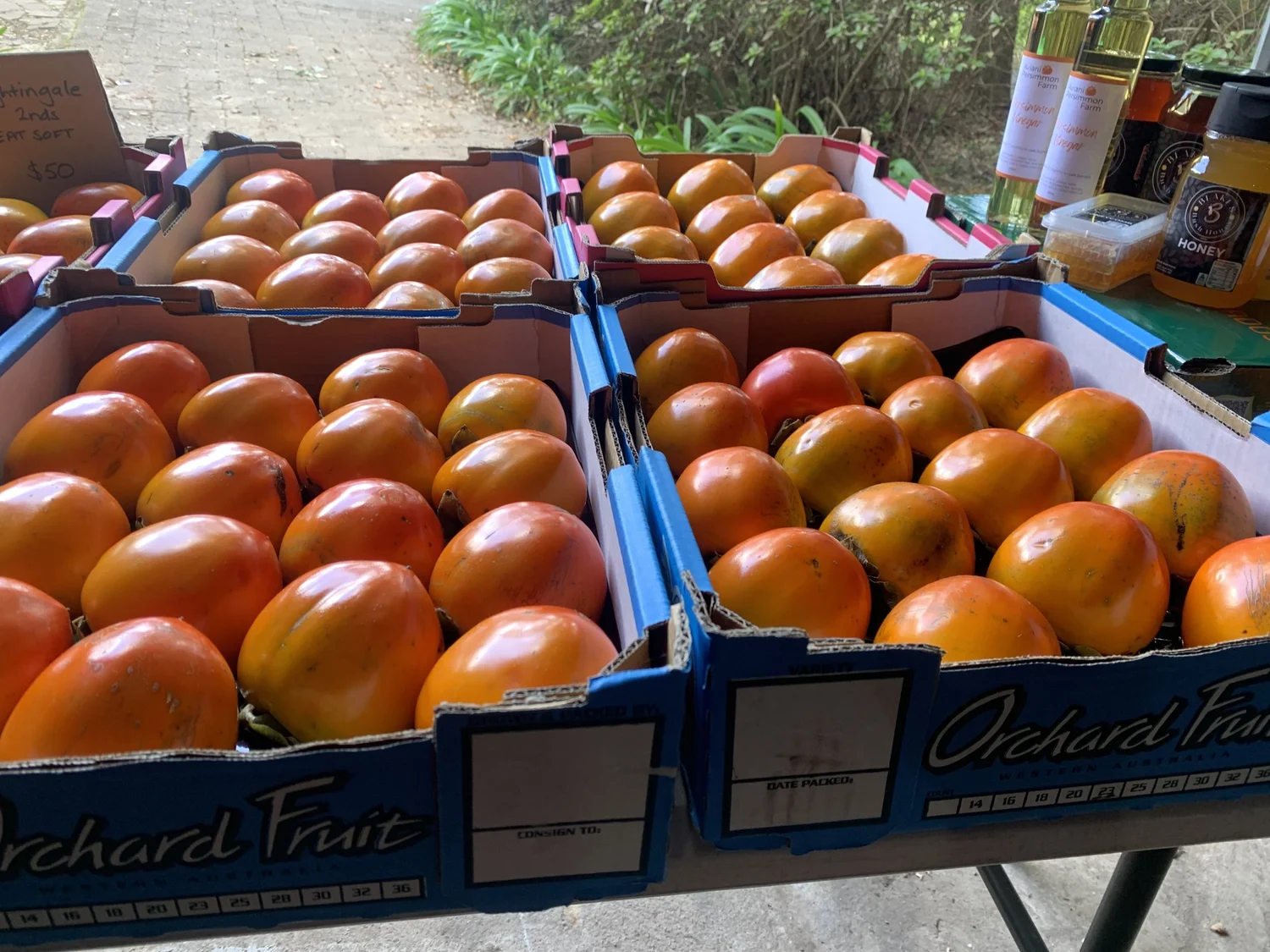 Aviani Persimmon Farm