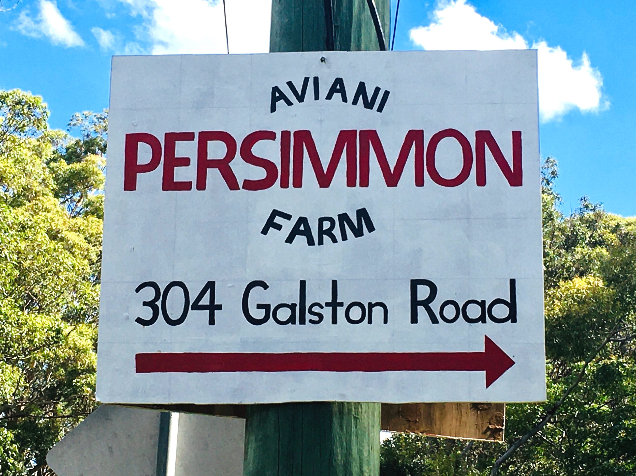 Aviani Persimmon Farm