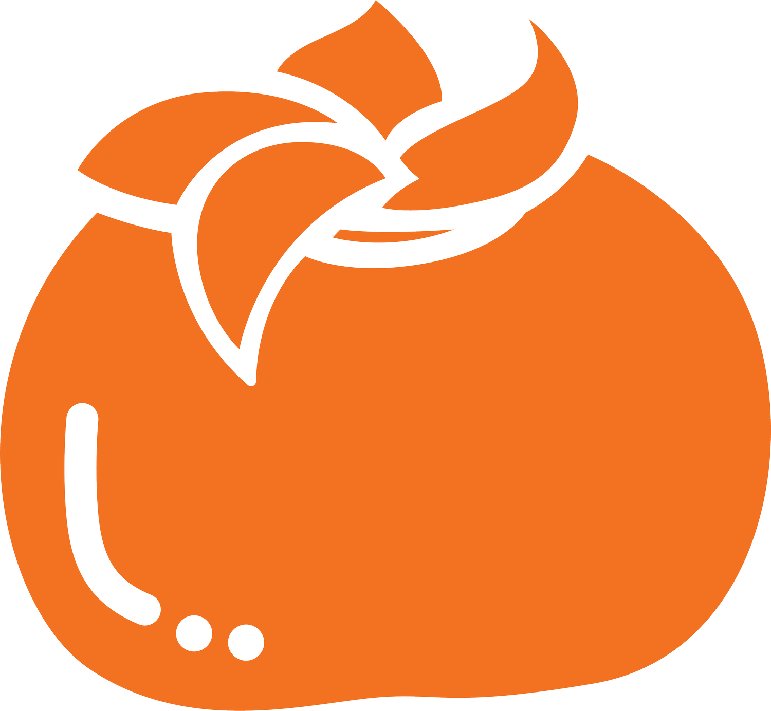 Persimmon Varieties - Aviani Persimmon Farm