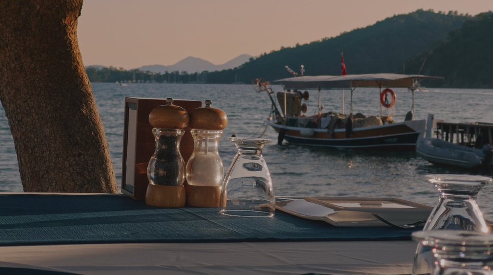 The One LUT - The Alexa look for Apple Log on iPhone 15/16 Pro