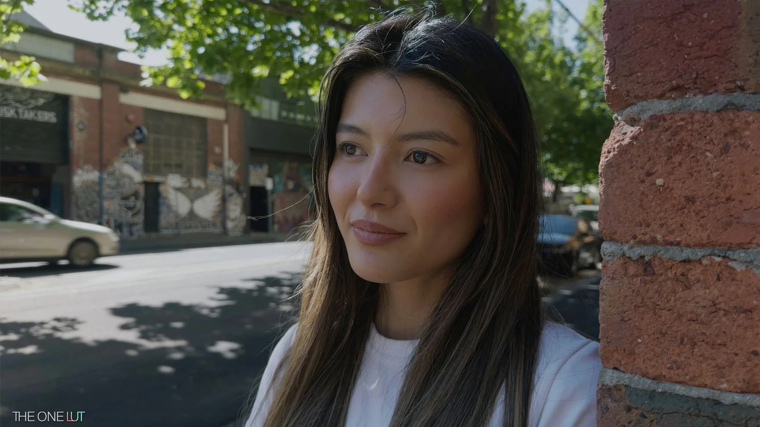 The One LUT - The Alexa look for iPhone Apple Log