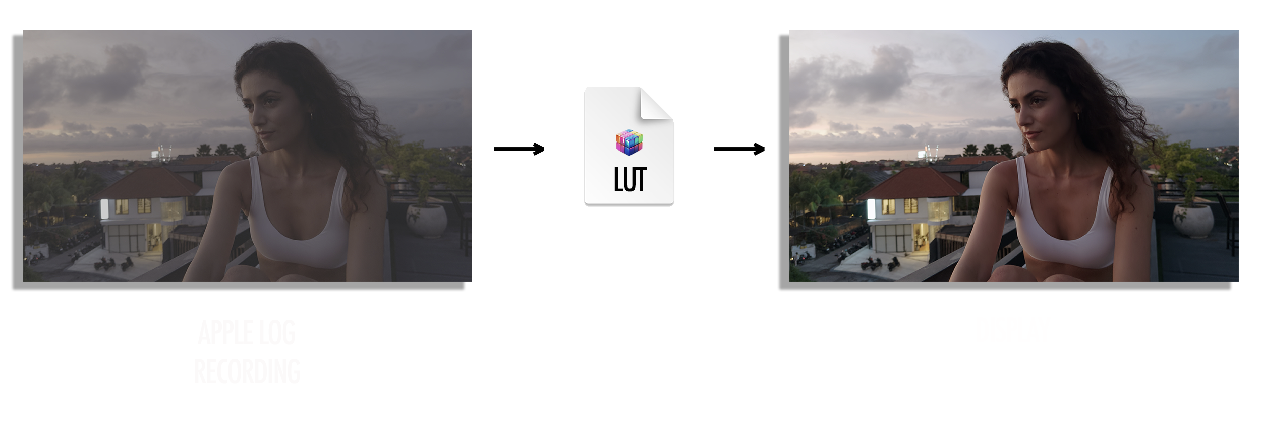 The One LUT - The Alexa look for Apple Log on iPhone 15/16/17 Pro