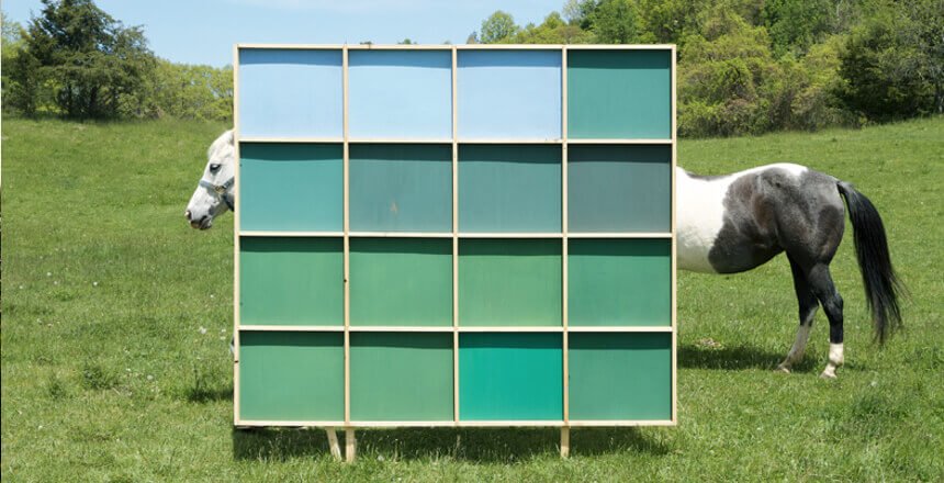 Markus Guschelbauer — Arte Sostenible
