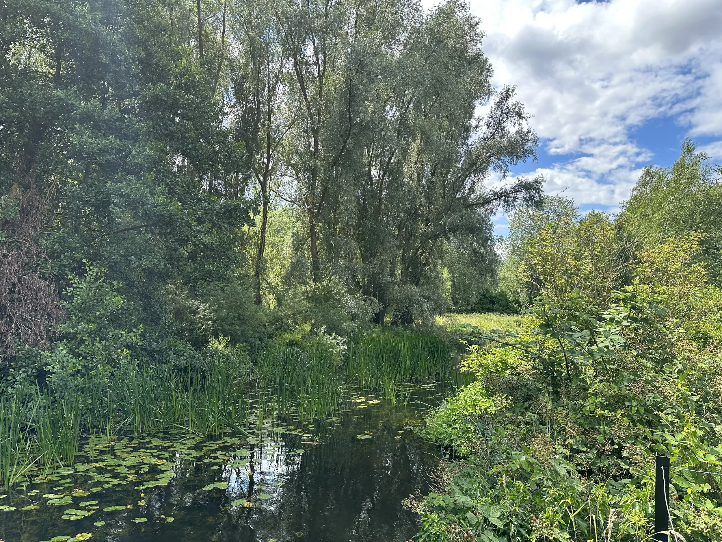 The Grounds — Blyth Hall