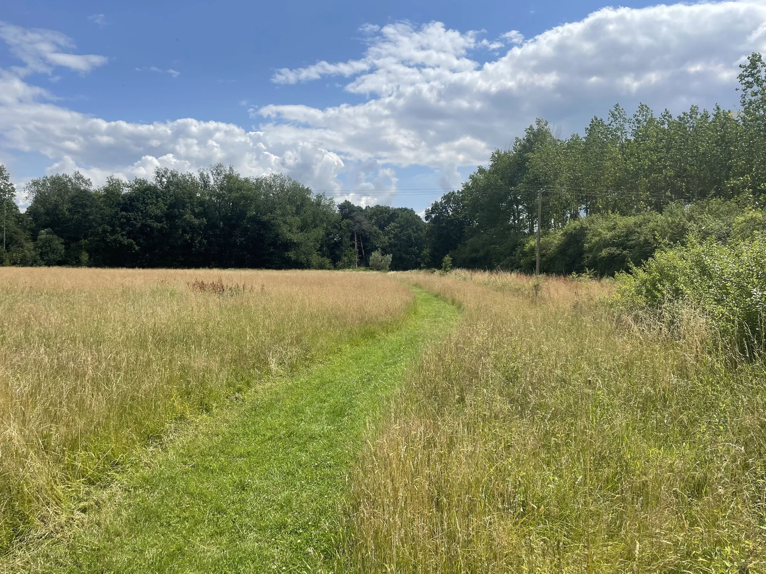 The Grounds — Blyth Hall
