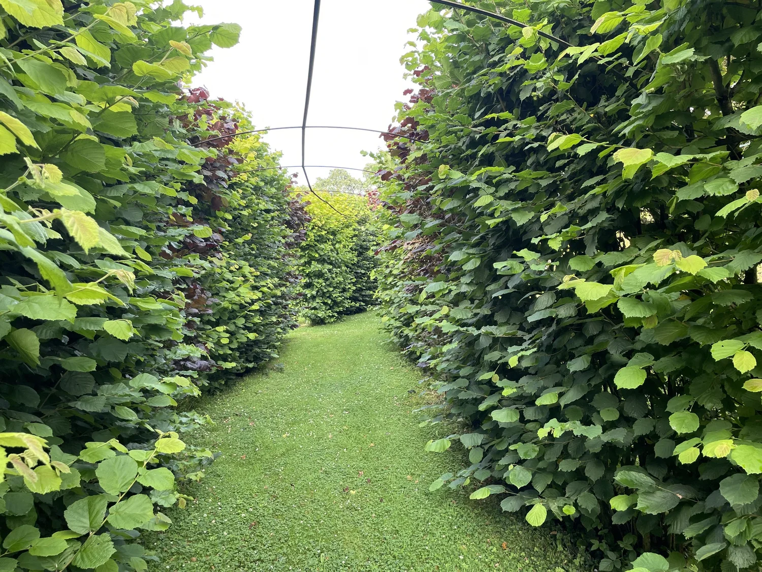 The Grounds — Blyth Hall
