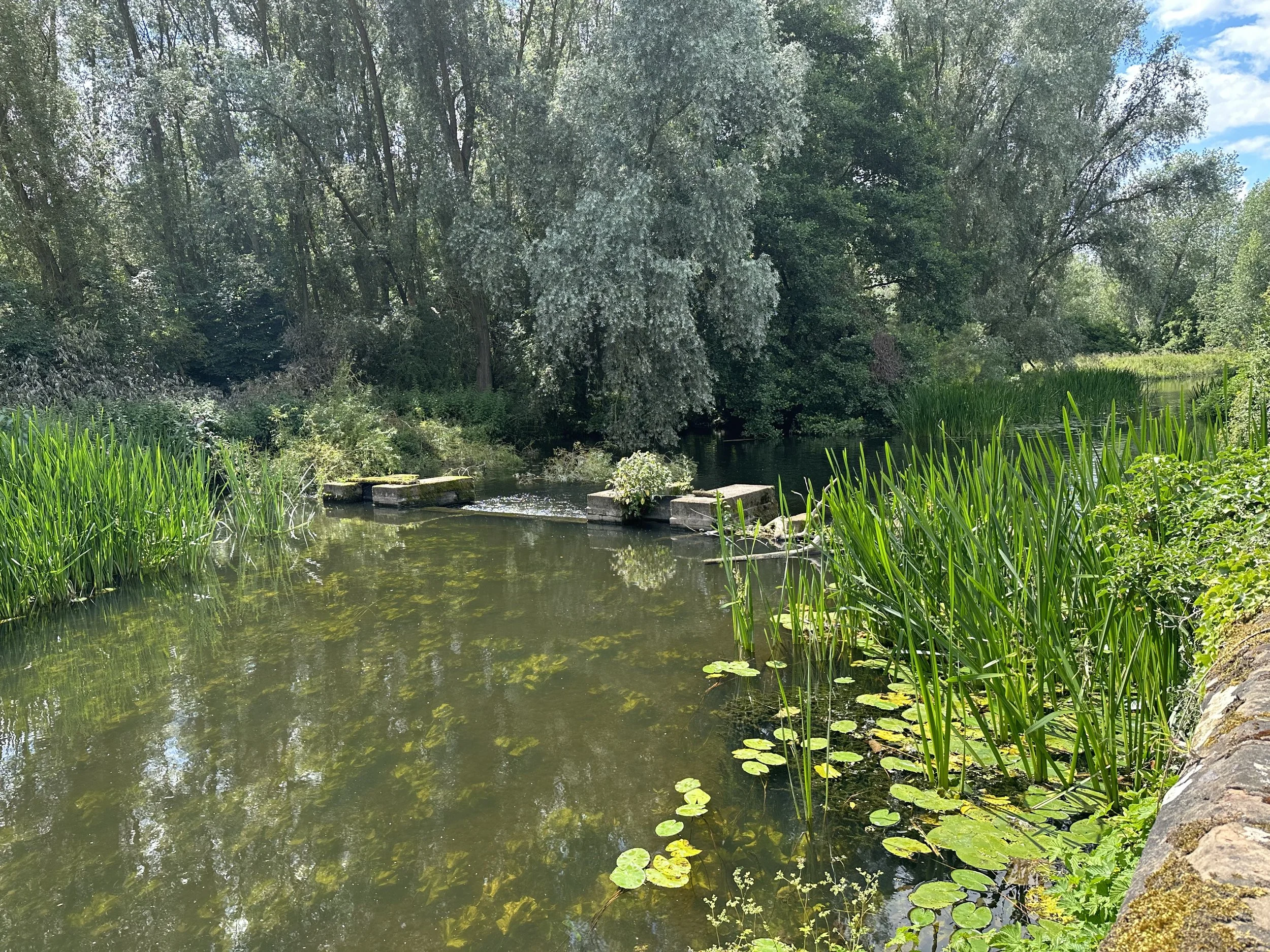 The Grounds — Blyth Hall