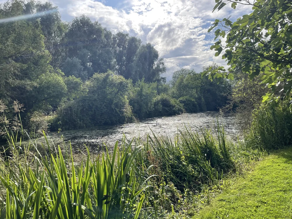 The Grounds — Blyth Hall