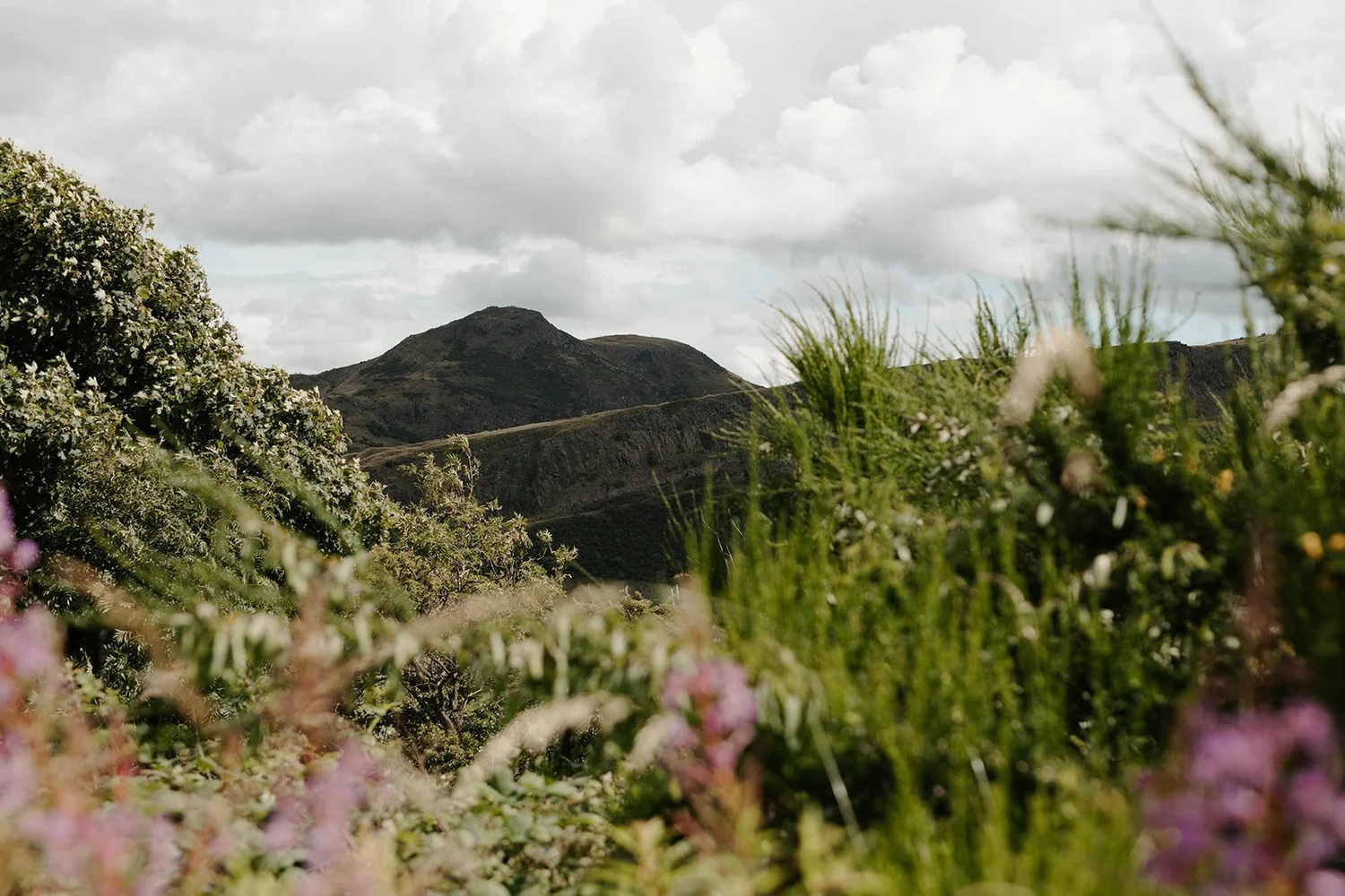 on being seen by everyday writes — Studio Gently | Edinburgh Brand ...