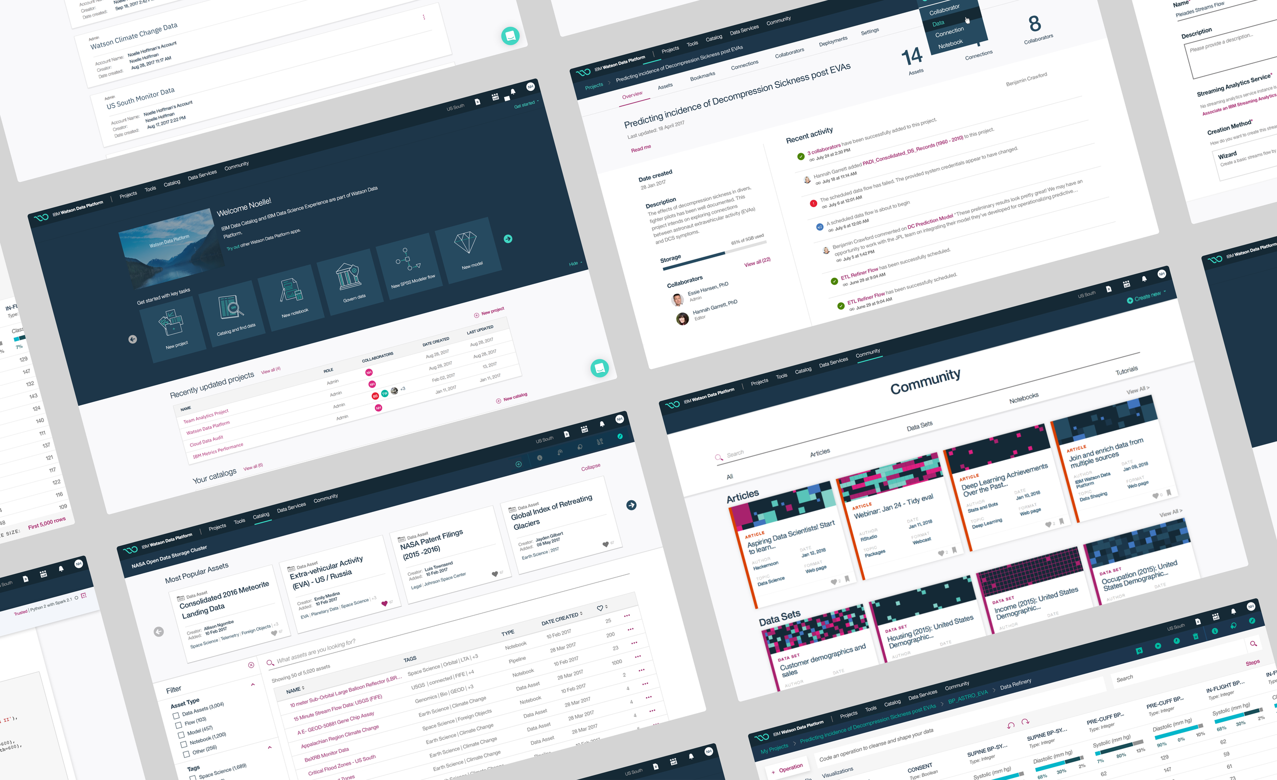 IBM Case Study — New Friend Studio