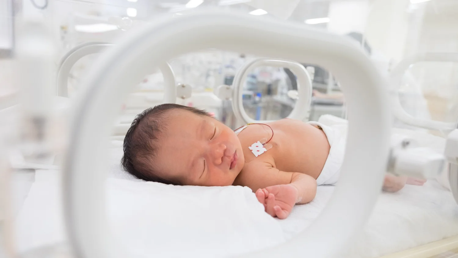 NEOwell / NICU, Newborn & Pregnancy Support In Northern VA (NOVA ...