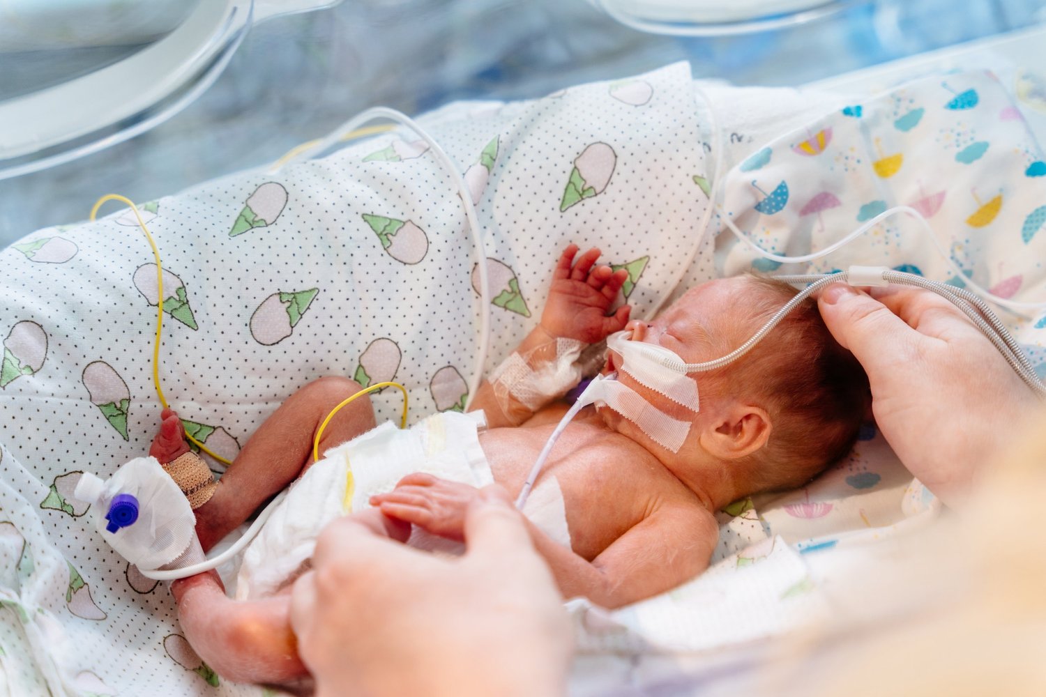 Understanding Common Reasons for NICU Admission: What Every Parent ...