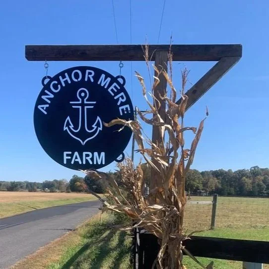 Anchor Mere Farm | Grass Fed, Grain Finished Angus Beef | Seasonal ...