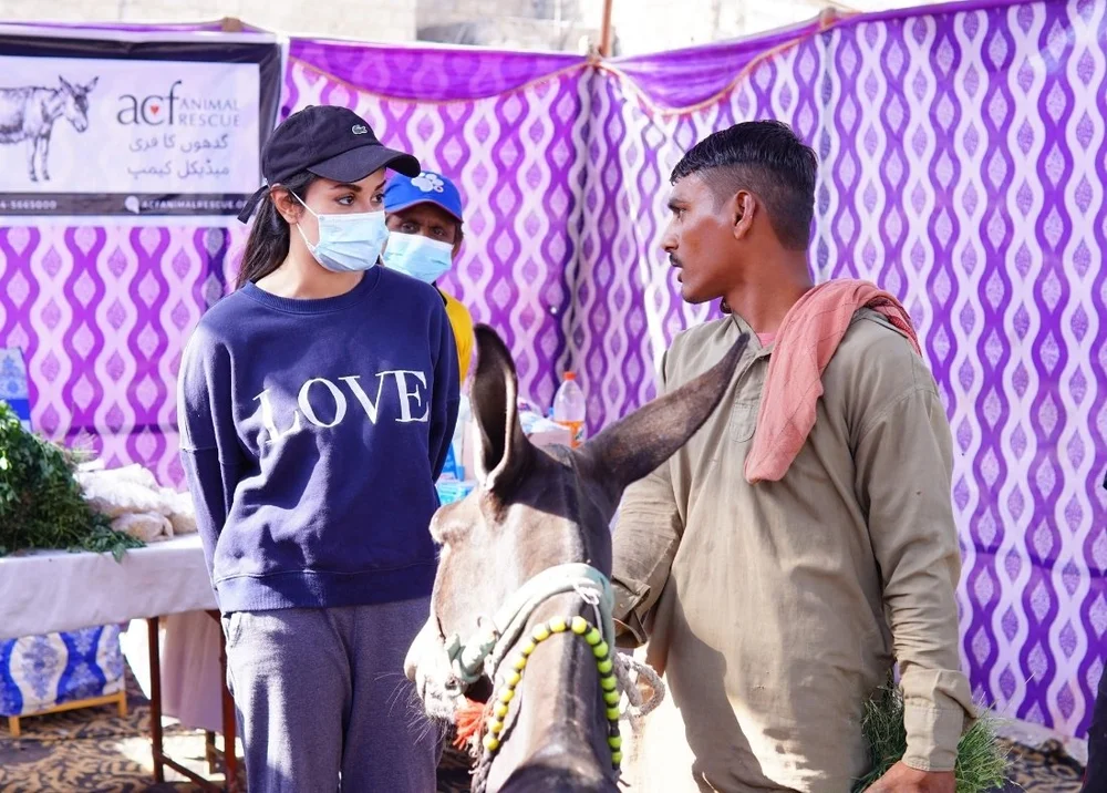 ACF USA - ACF Animal Rescue USA