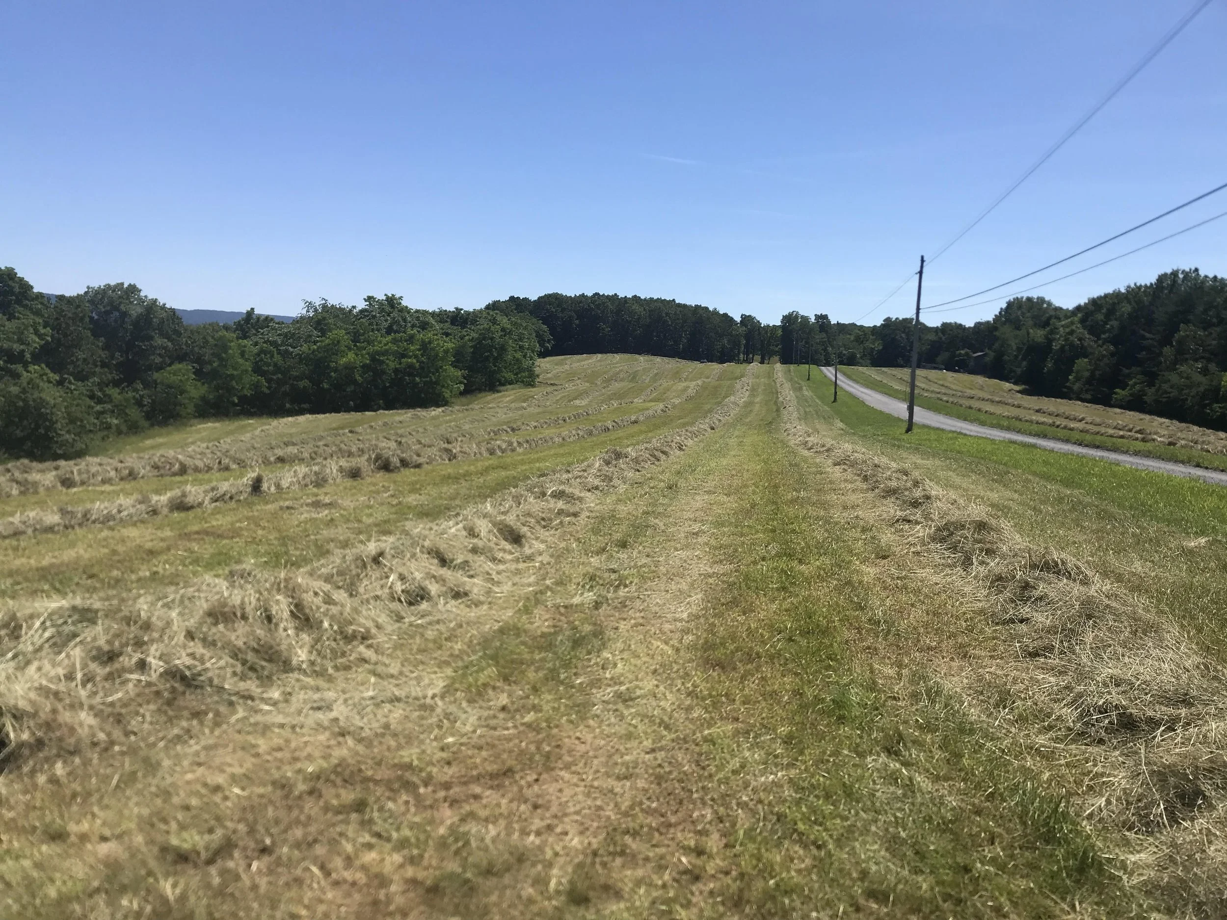About | Family Owned Farm | Naturally Raised Animals | No Growth ...