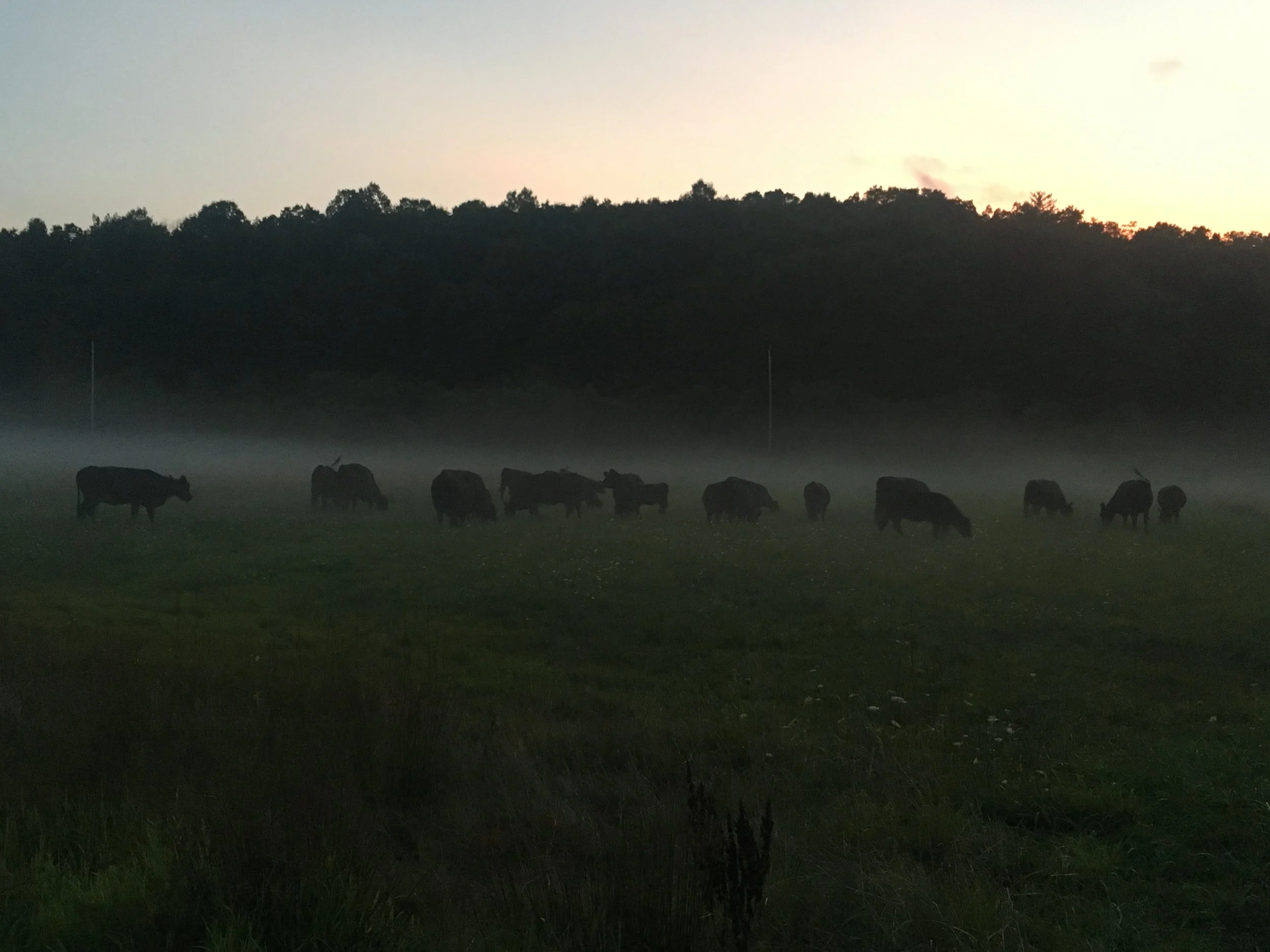 About | Family Owned Farm | Naturally Raised Animals | No Growth ...