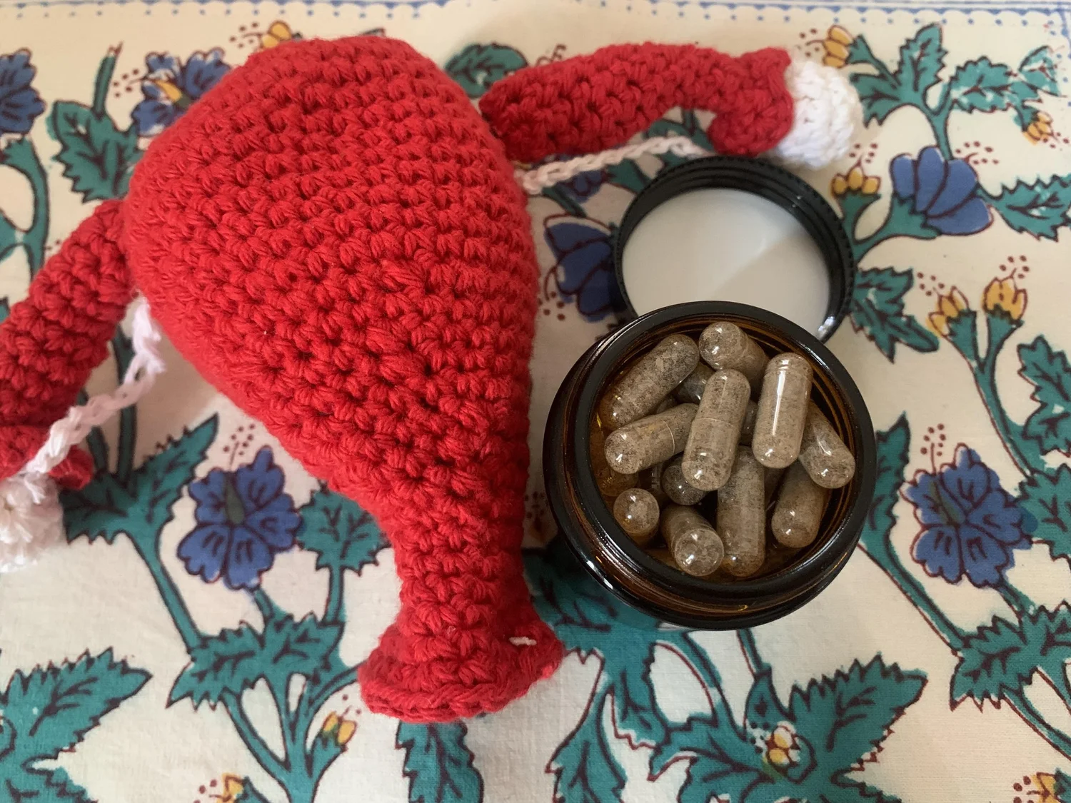 Placenta Encapsulation — Hannah Fullerton | NYC Doula