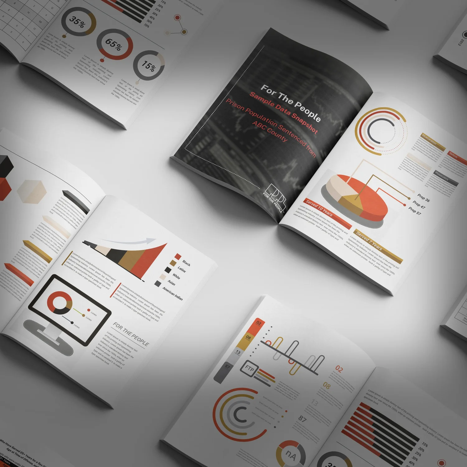 Publications — For the People