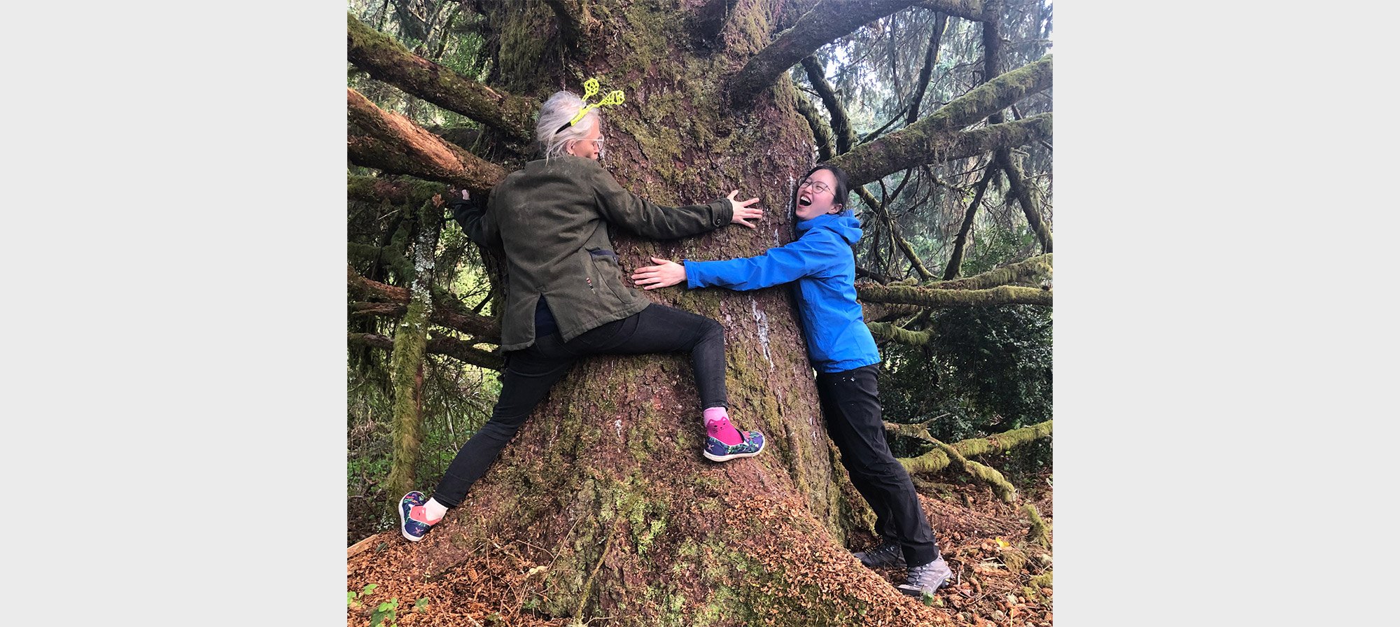 Residents Roster — Willapa Bay AiR