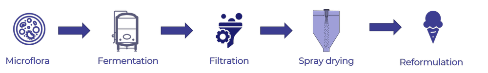 Precision Fermentation — Daisy Lab - Rethinking Dairy