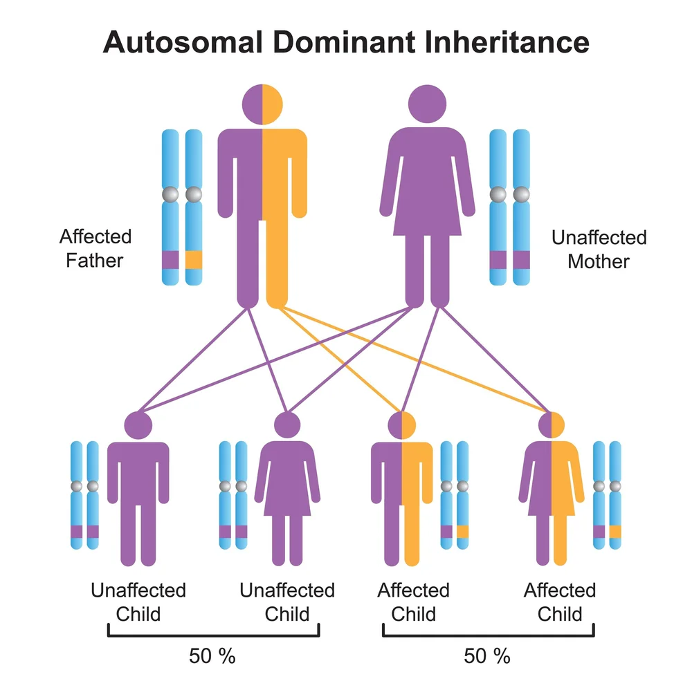 SCA27b Ataxia Foundation