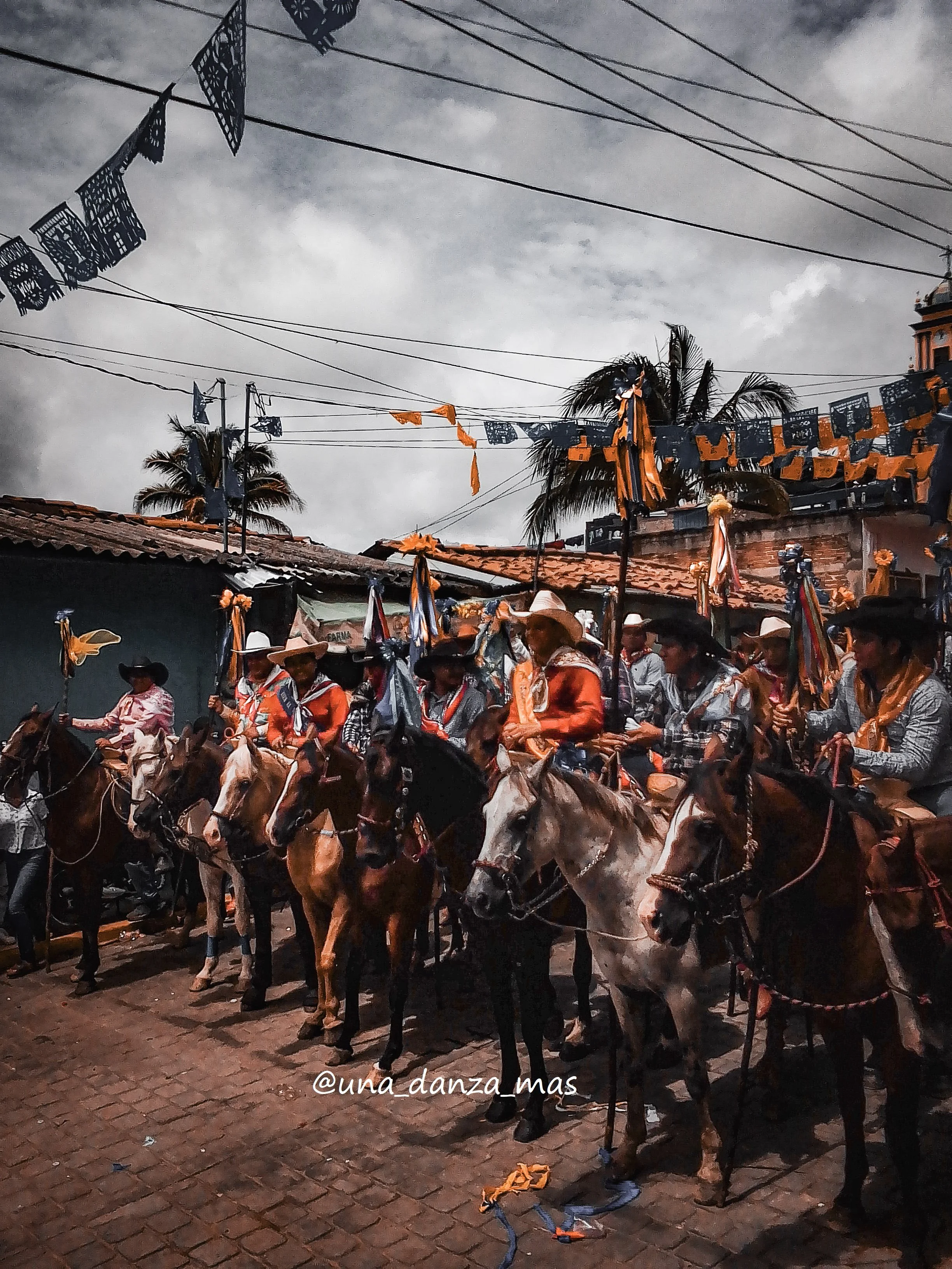 Toro de Petate - Ometepec — Una Danza Más