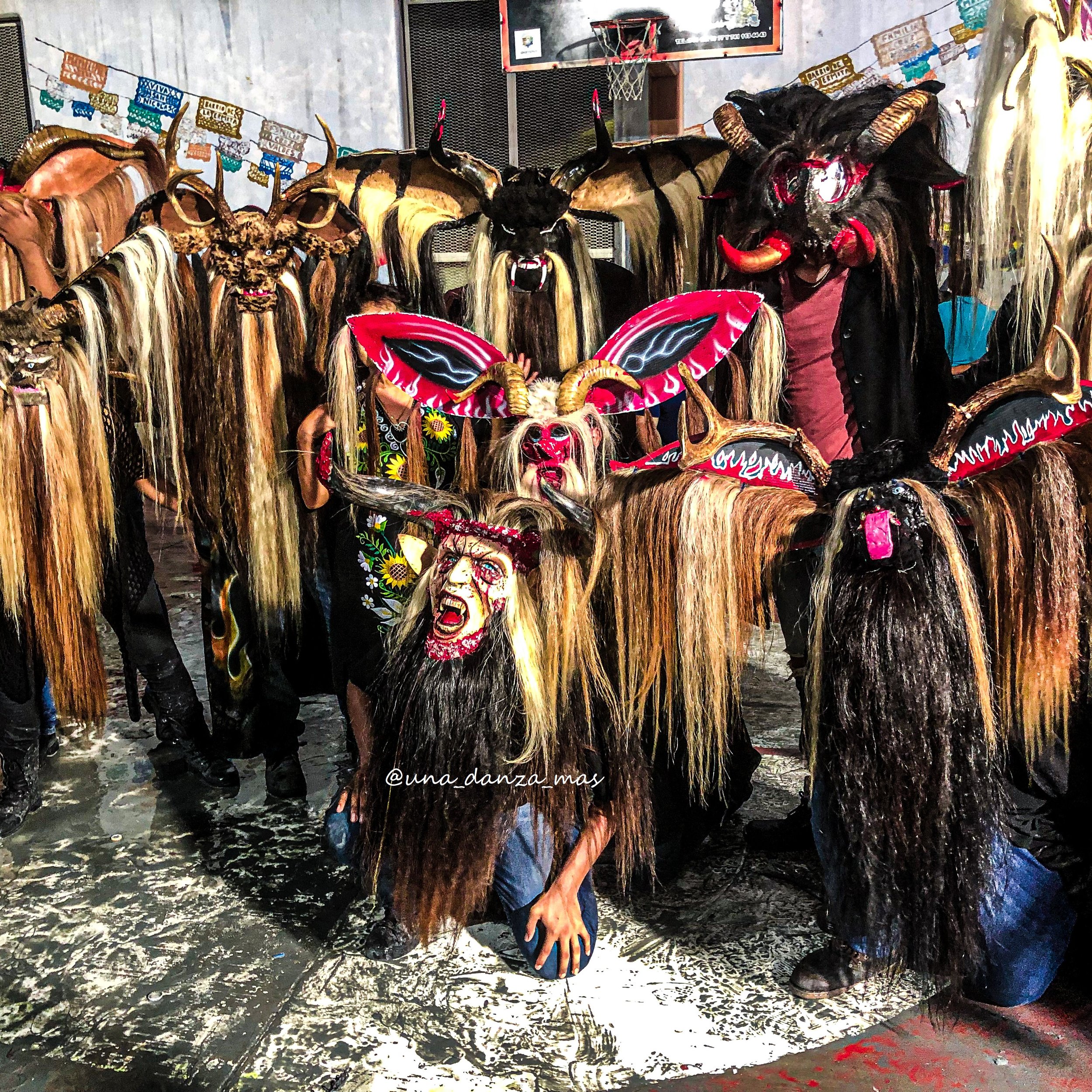 Los Diablos de Ometepec — Una Danza Más