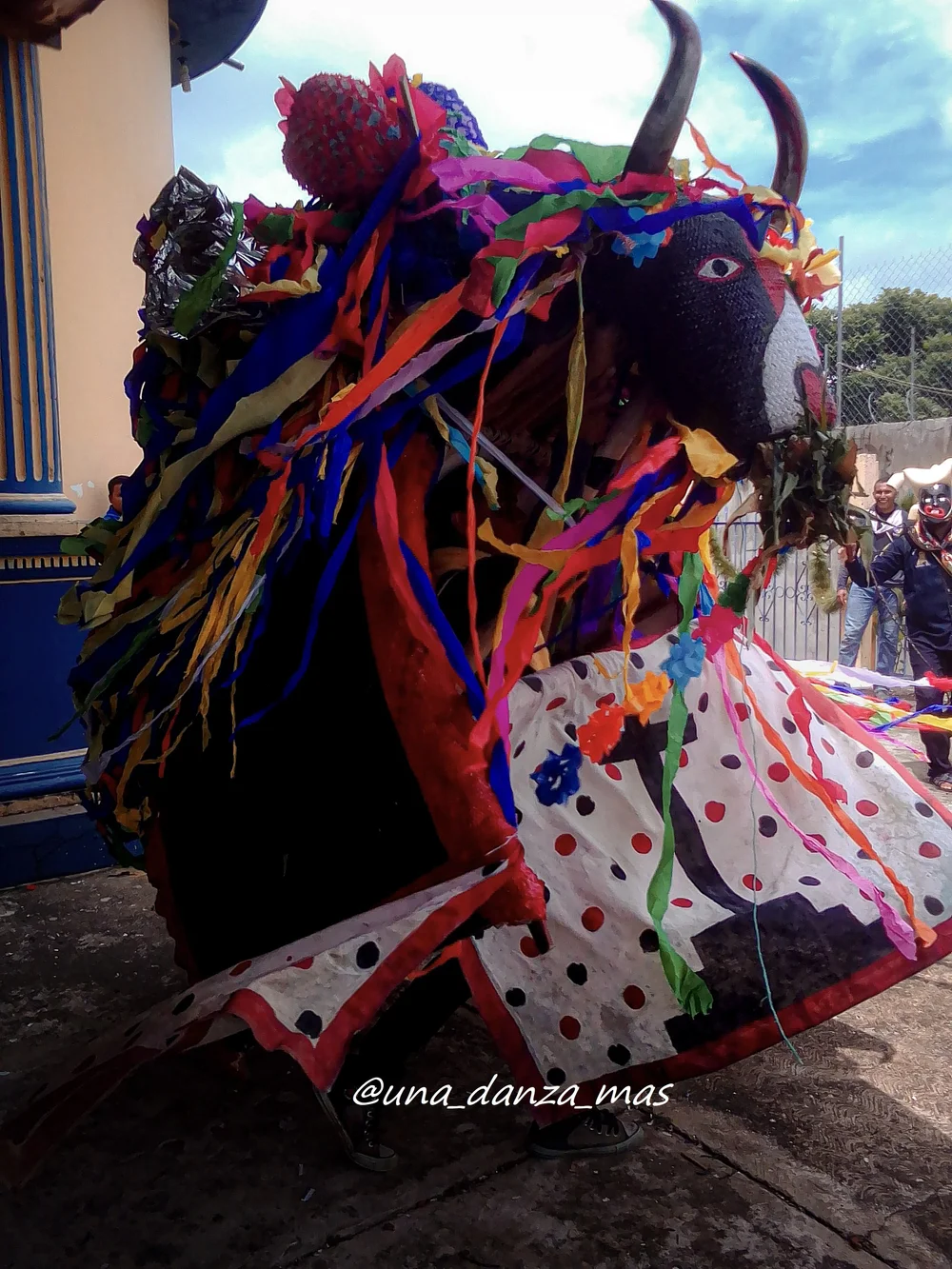 Toro de Petate - Ometepec — Una Danza Más
