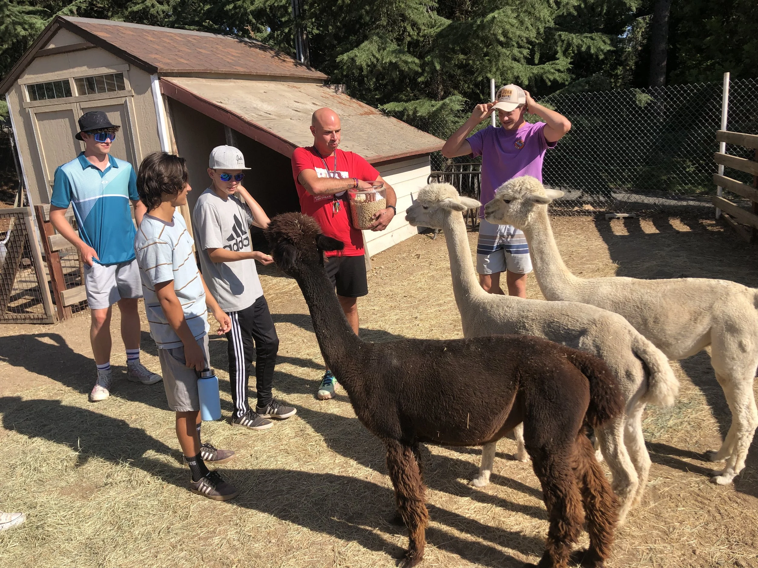 Current News — St. Andrew's Episcopal Church, Encinitas CA