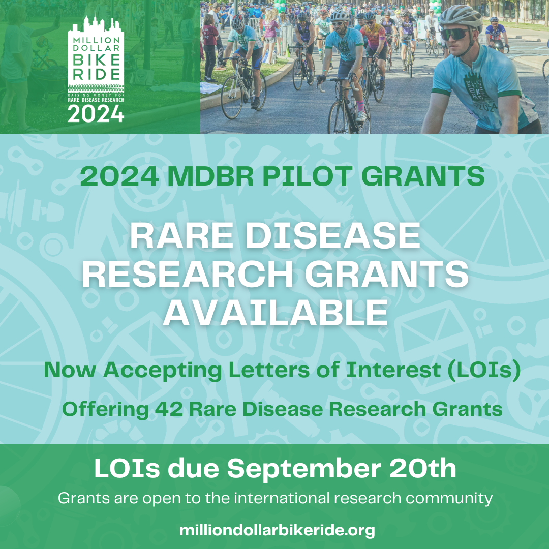 Research Project Investments — Love Never Sinks