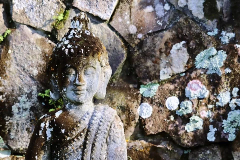 Classes & Events | Explore, Connect, Transform! — embodied.health