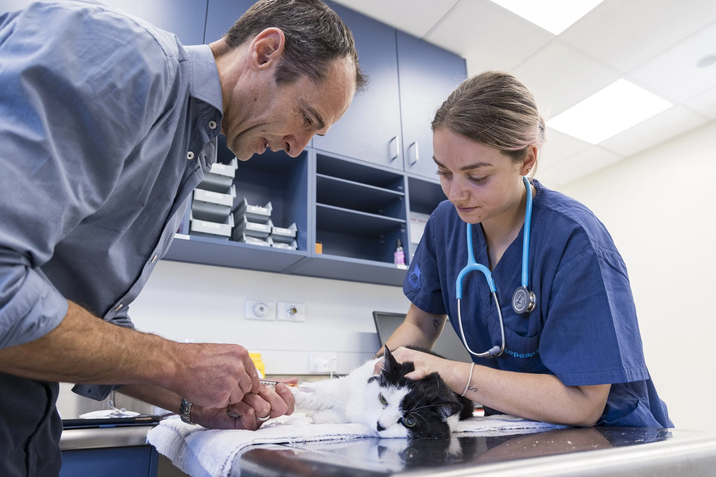 Photography refresh - Veterinary Council of New Zealand