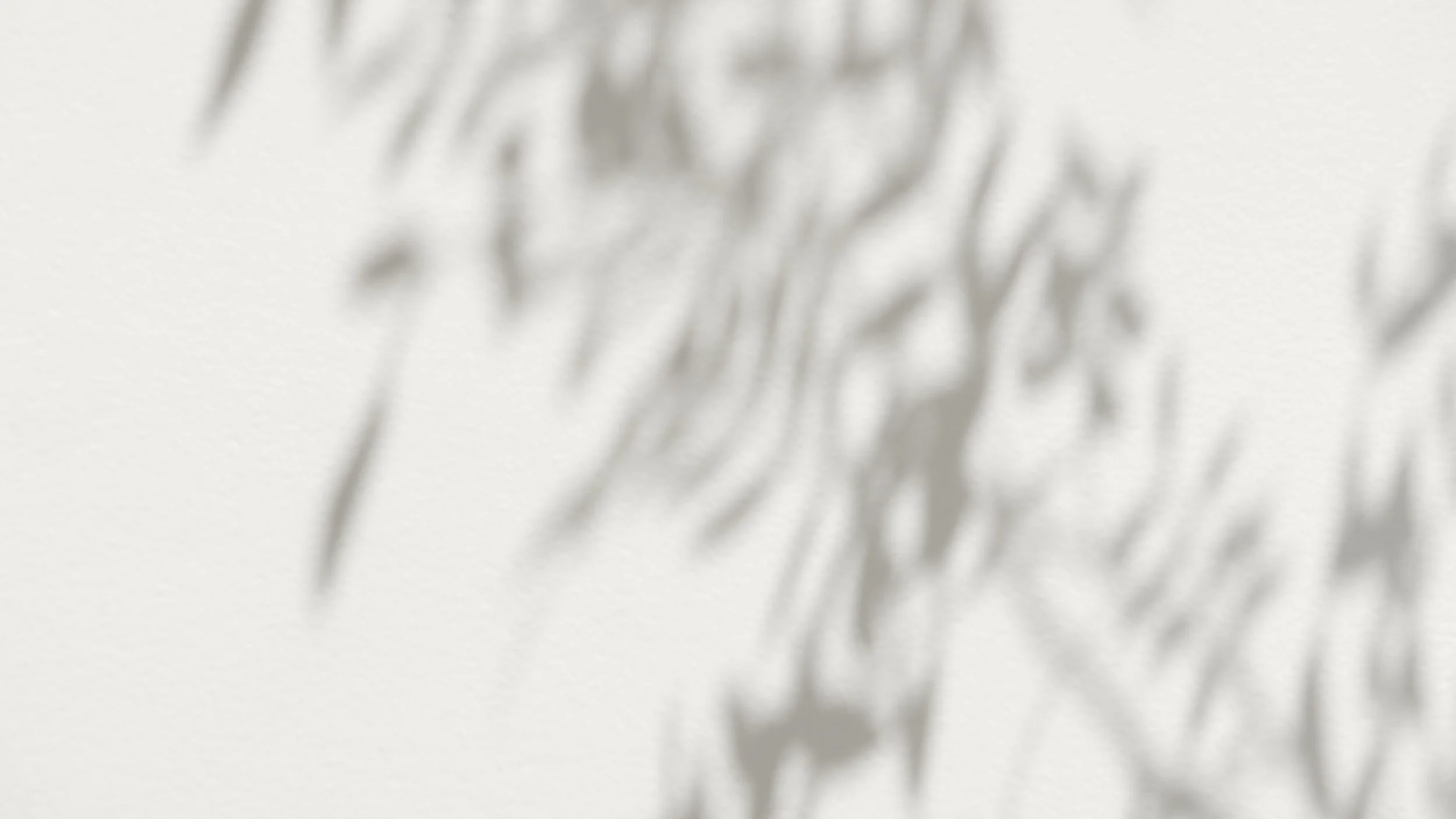 About — MOPSS | Minnesota Ophthalmic Plastic Surgery Specialists ...